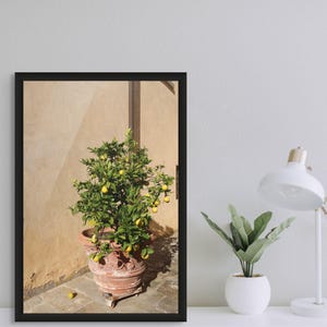 Italian Lemon, Digital Download, Italian Summer, Lemon Tree, Amalfi ...