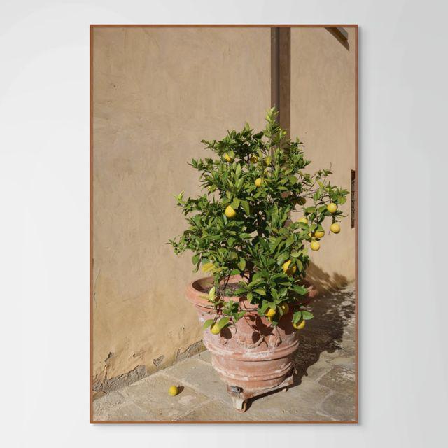 Italian Lemon, Digital Download, Italian Summer, Lemon Tree, Amalfi ...