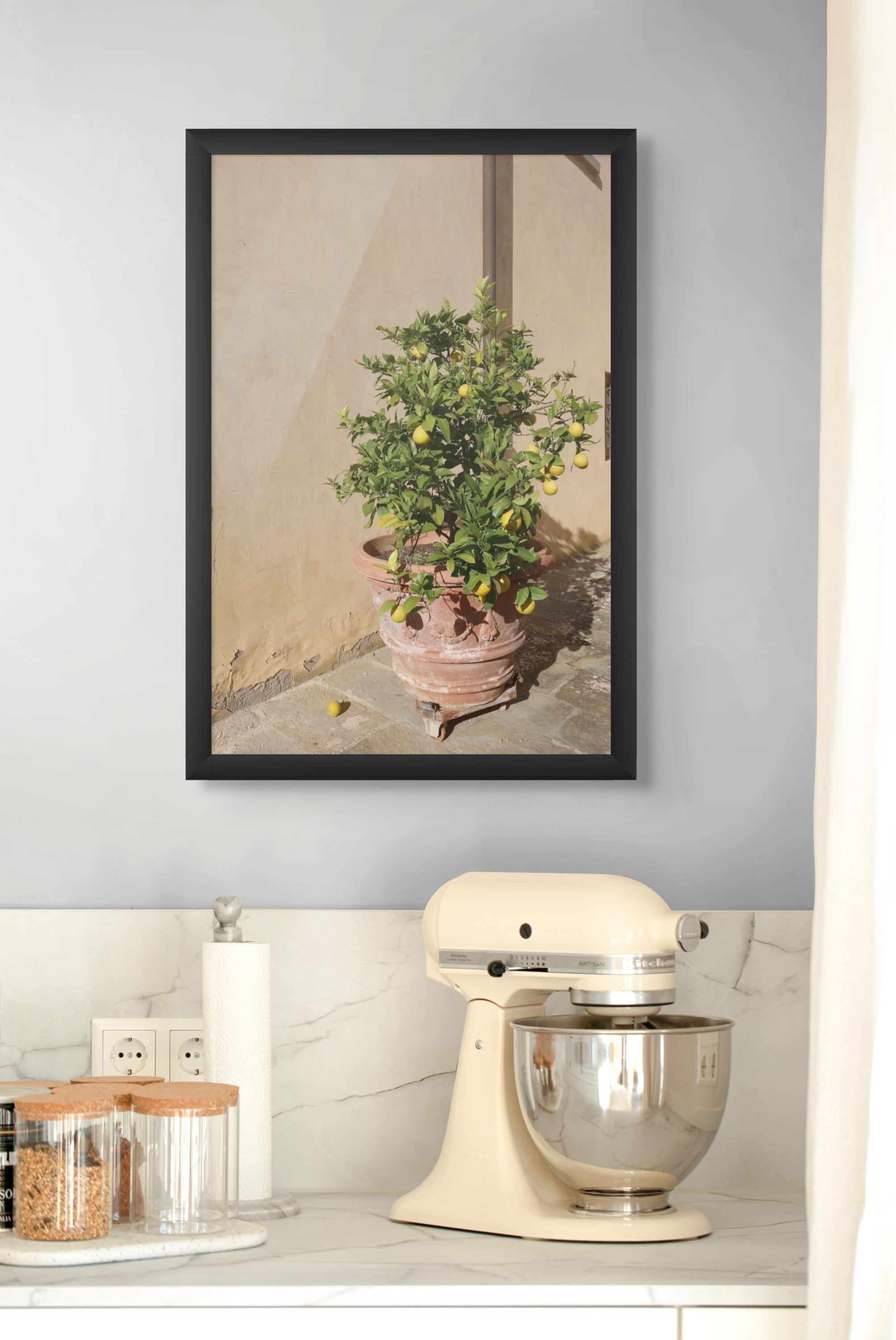 Italian Lemon, Digital Download, Italian Summer, Lemon Tree, Amalfi ...