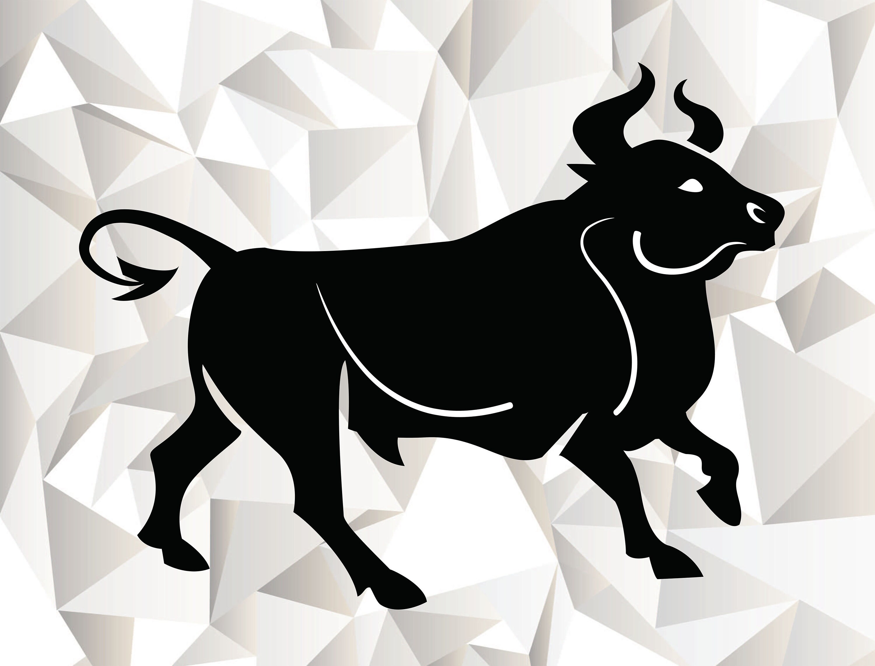 Bull SVG, Bull Clipart, Bull Cut Files for Silhouette, Bull Files for ...