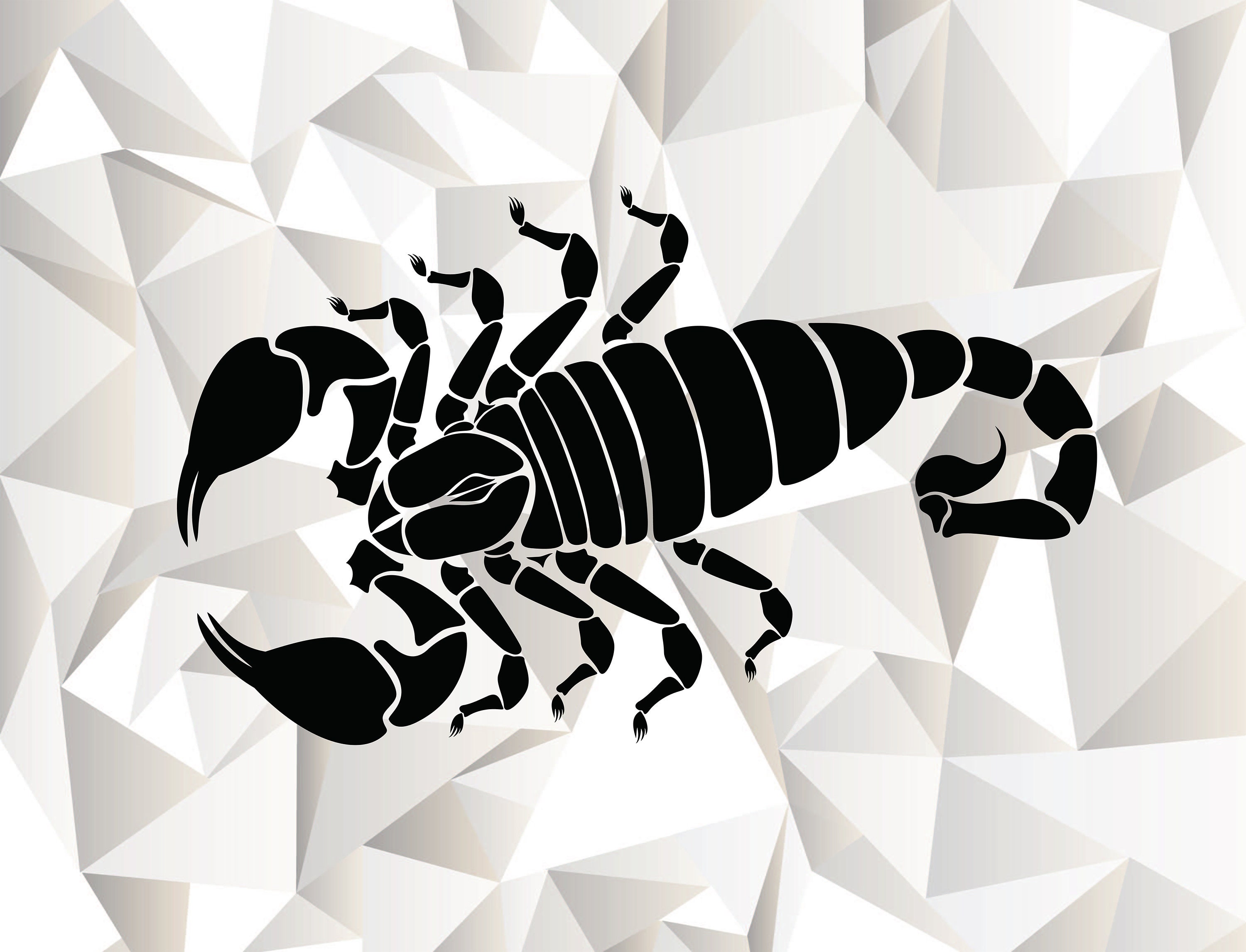 Scorpion SVG, Scorpion Clipart, Scorpion Cut Files for Silhouette ...