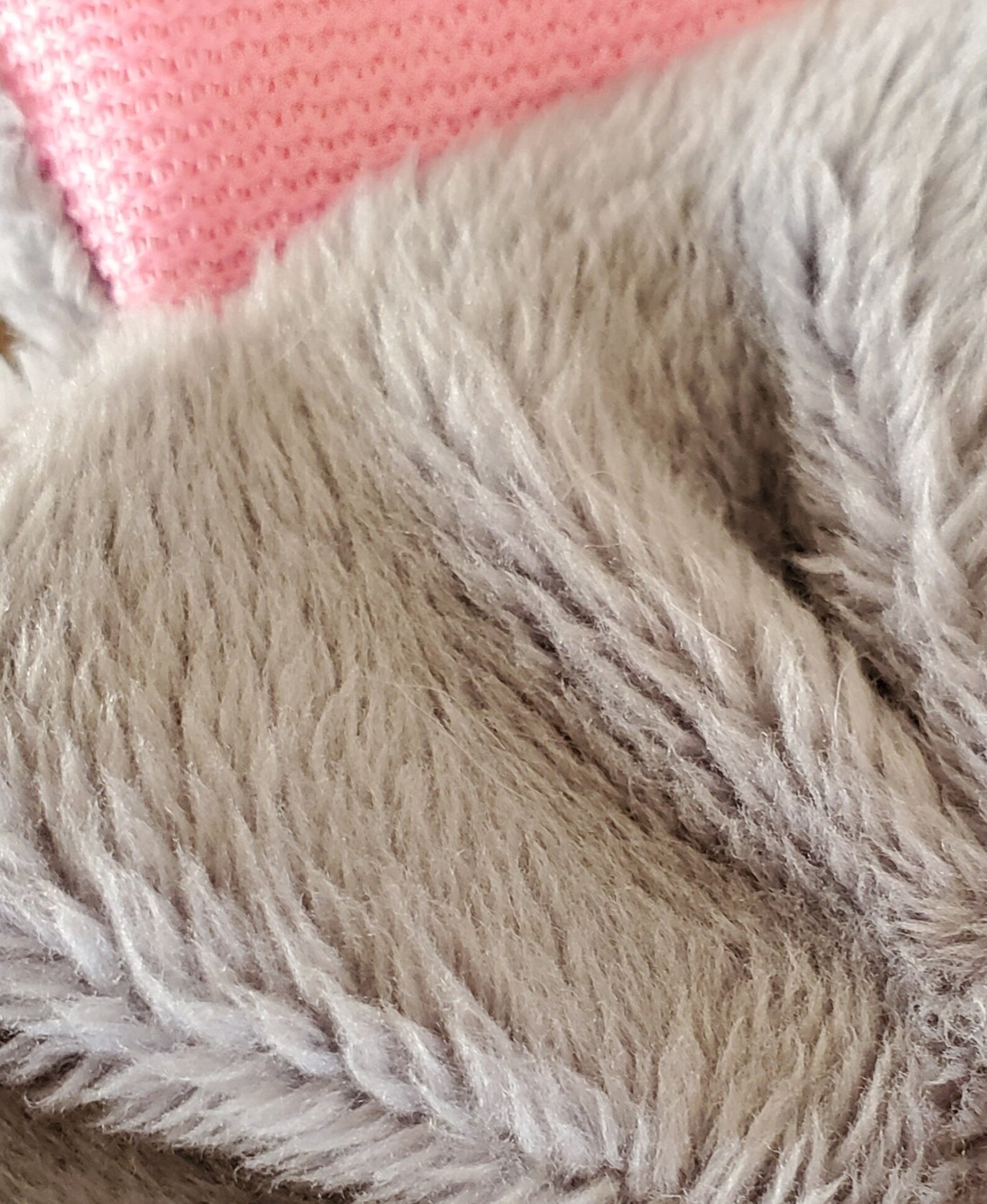 Bella Notte Bundle - Etsy