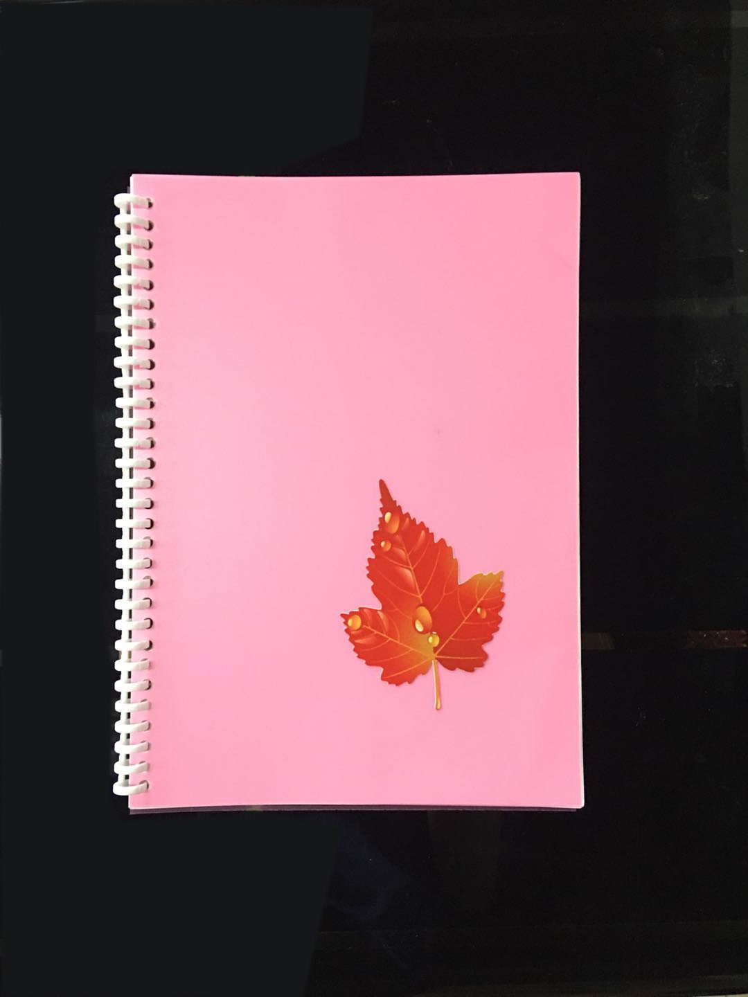 Sticker Book Sticker Collecting Album Size 10"x 7" Re-usable Pages 20 ...