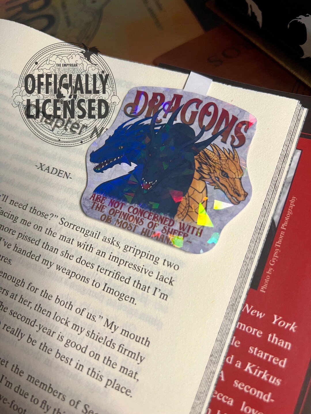 Dragons Are Not Concerned Magnetic Bookmark | Fourth Wing Iron Flame ...