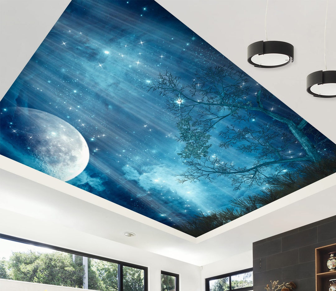 3D Moonlight Stars C1798 Ceiling Wallpaper Removable Self Adhesive ...