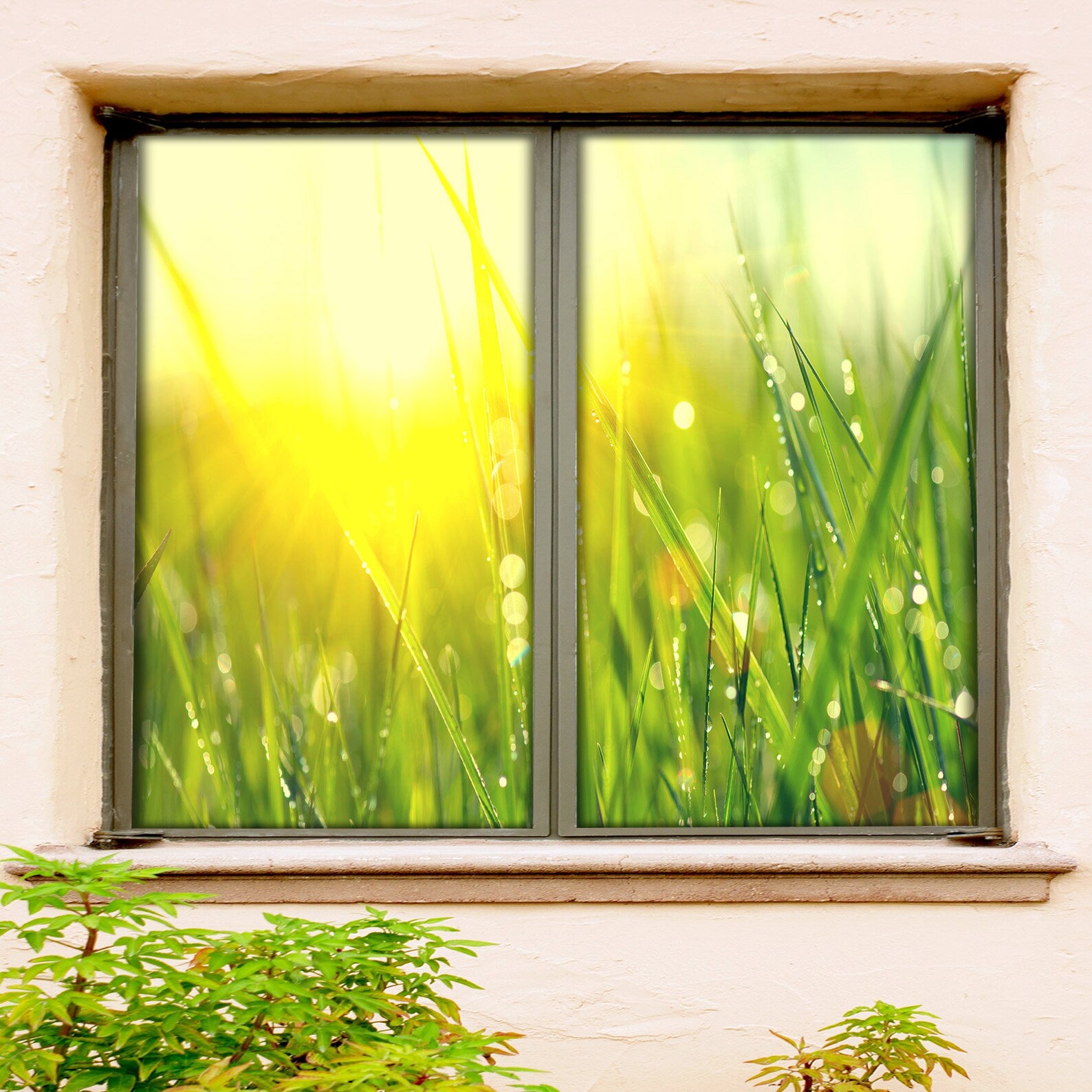 3D Sunshine and Grass W015 Window Film Print Sticker Cling | Etsy