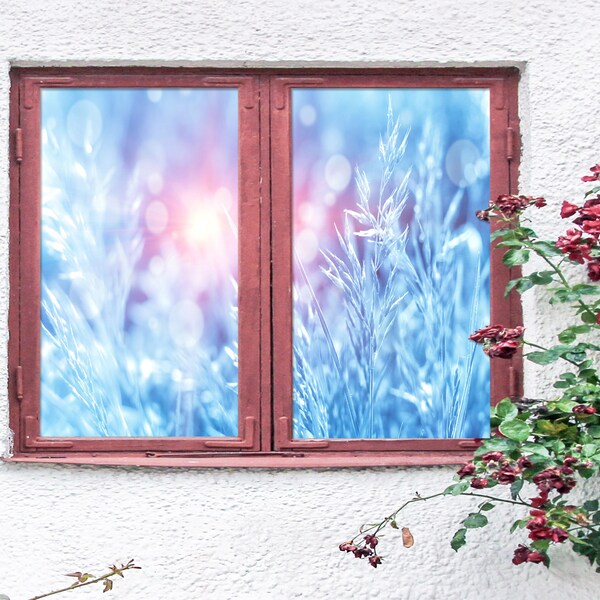 Grass Privacy Film - Etsy
