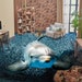 3D Gentle Dolphin 9840 Floor Wallpaper Murals Self-adhesive Removable ...