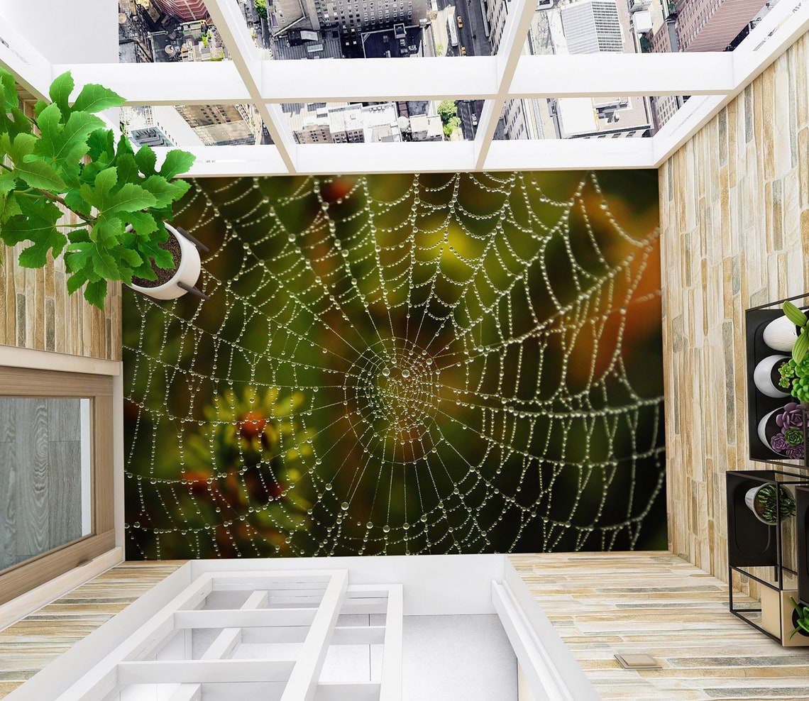 3D Spider Web 4130 Floor Wallpaper Murals Self-adhesive - Etsy
