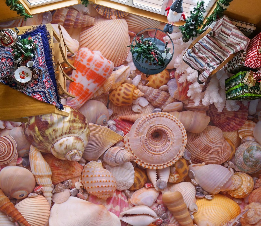 3D Conch Shell 1098 Floor Wallpaper Murals Self-adhesive Removable ...