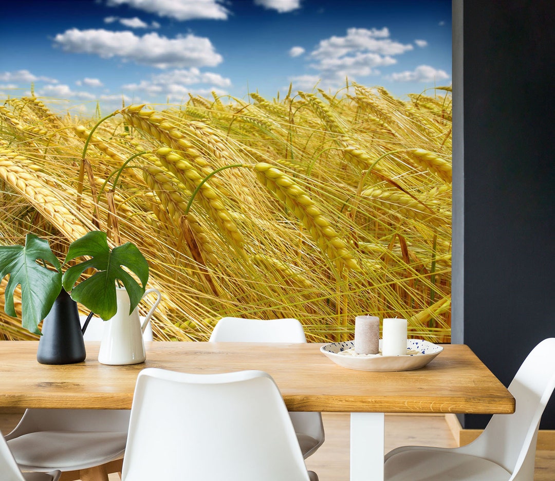 Harvest Rice Field 1268 Wallpaper Mural Self Adhesive Peel and Stick ...