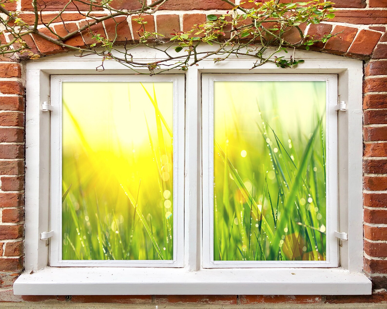 3D Sunshine and Grass W015 Window Film Print Sticker Cling | Etsy