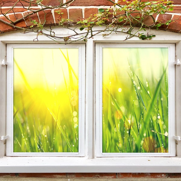 Grass Privacy Film - Etsy