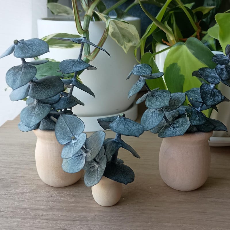 Miniature Plants - Etsy