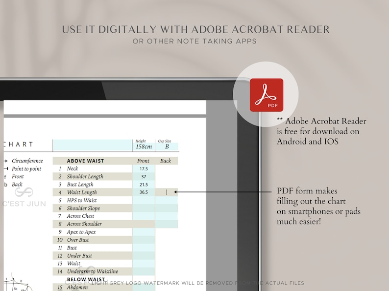 Printable Body Size Chart Fillable Women Measurement - Etsy