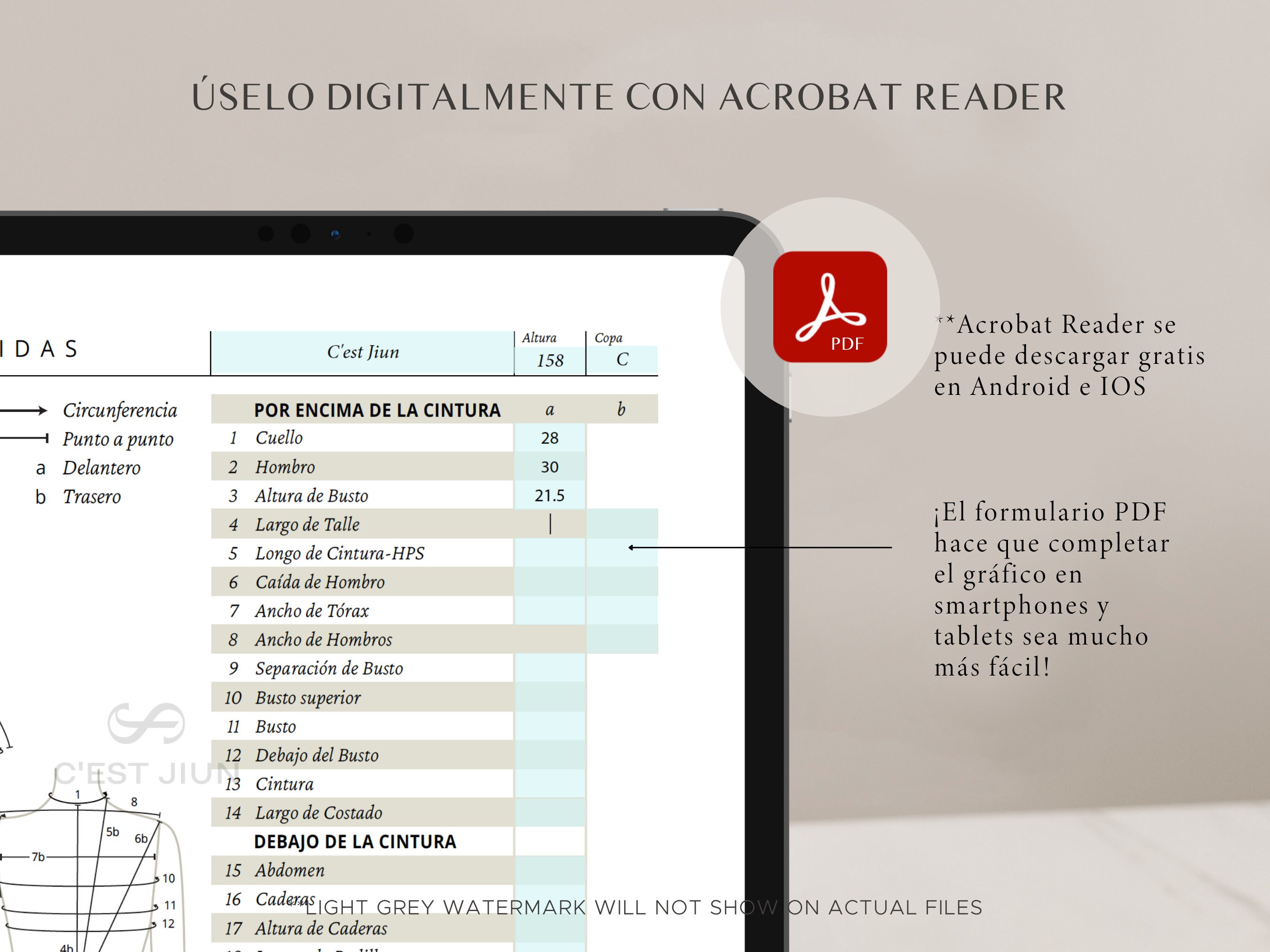 Printable Measurement Sheet Spanish | Fillable PDF Women Size Chart ...