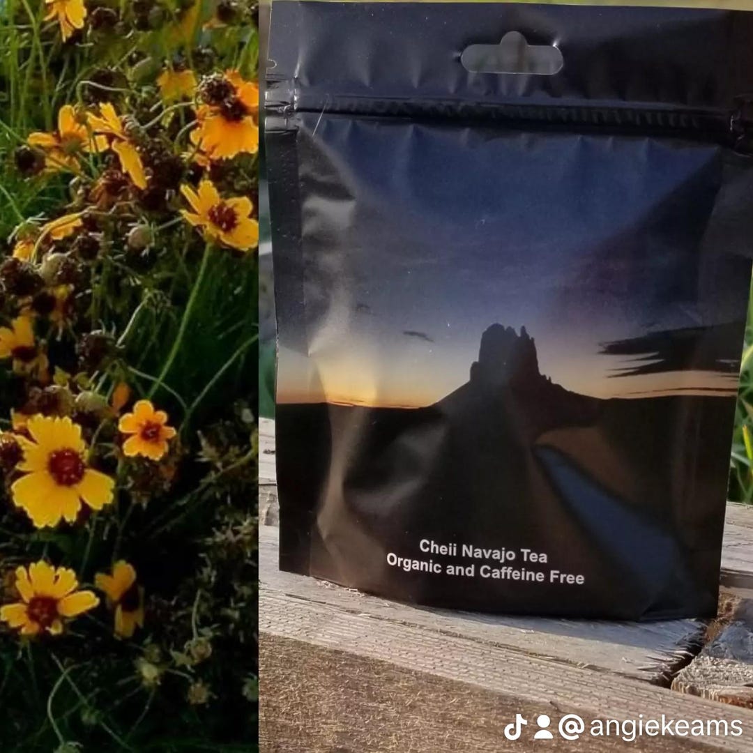 Navajo Tea - Etsy