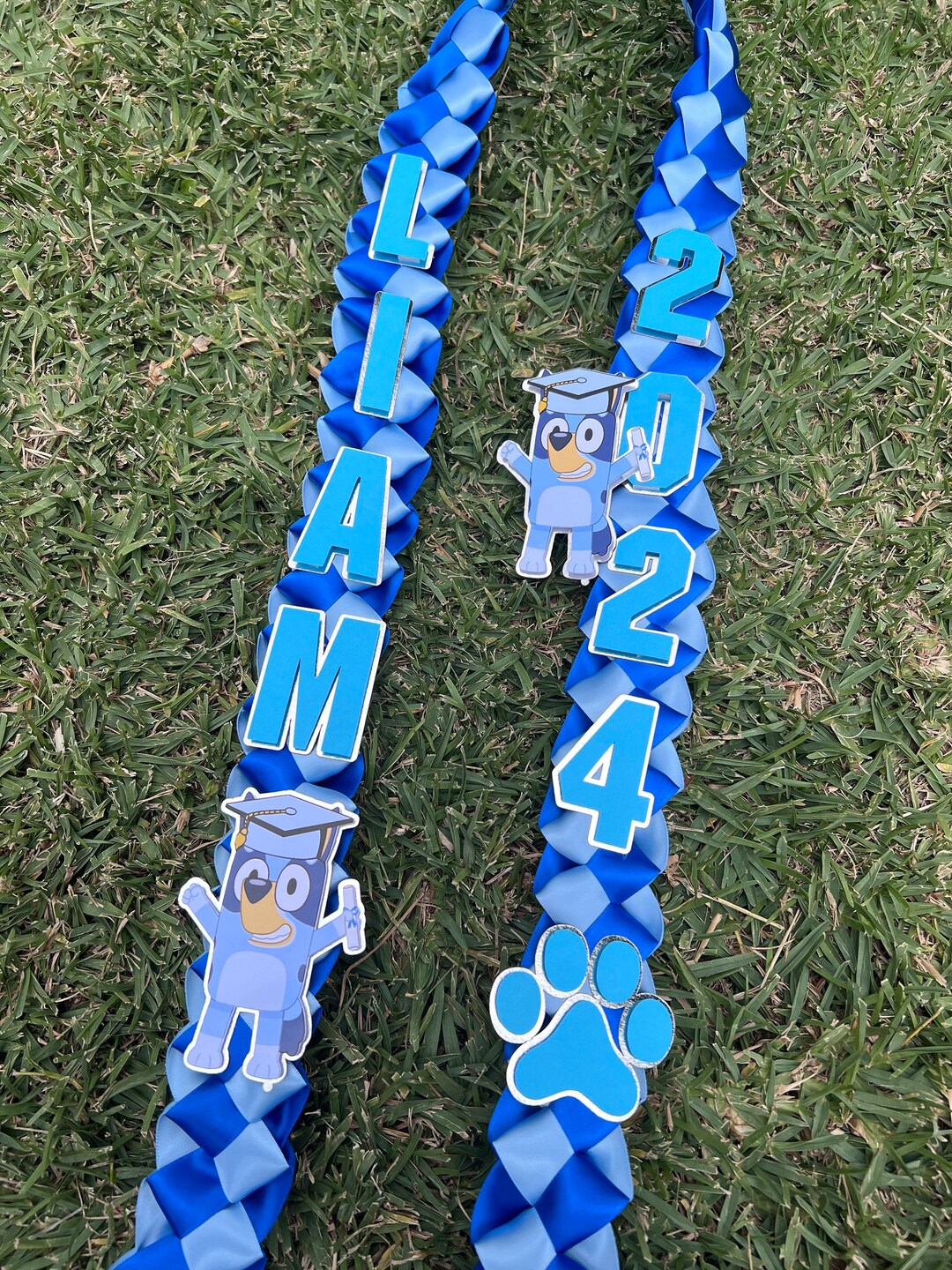 Bluey Leis Graduation/leis Graduation/class of 2024/graduation Gift ...