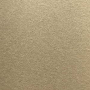 Neenah Astroparche Aged Paper - 8 1/2 X 11 in 65 Lb Cover Vellum 30% ...