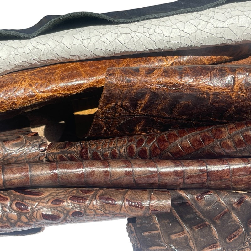 Alligator Embossed - Etsy