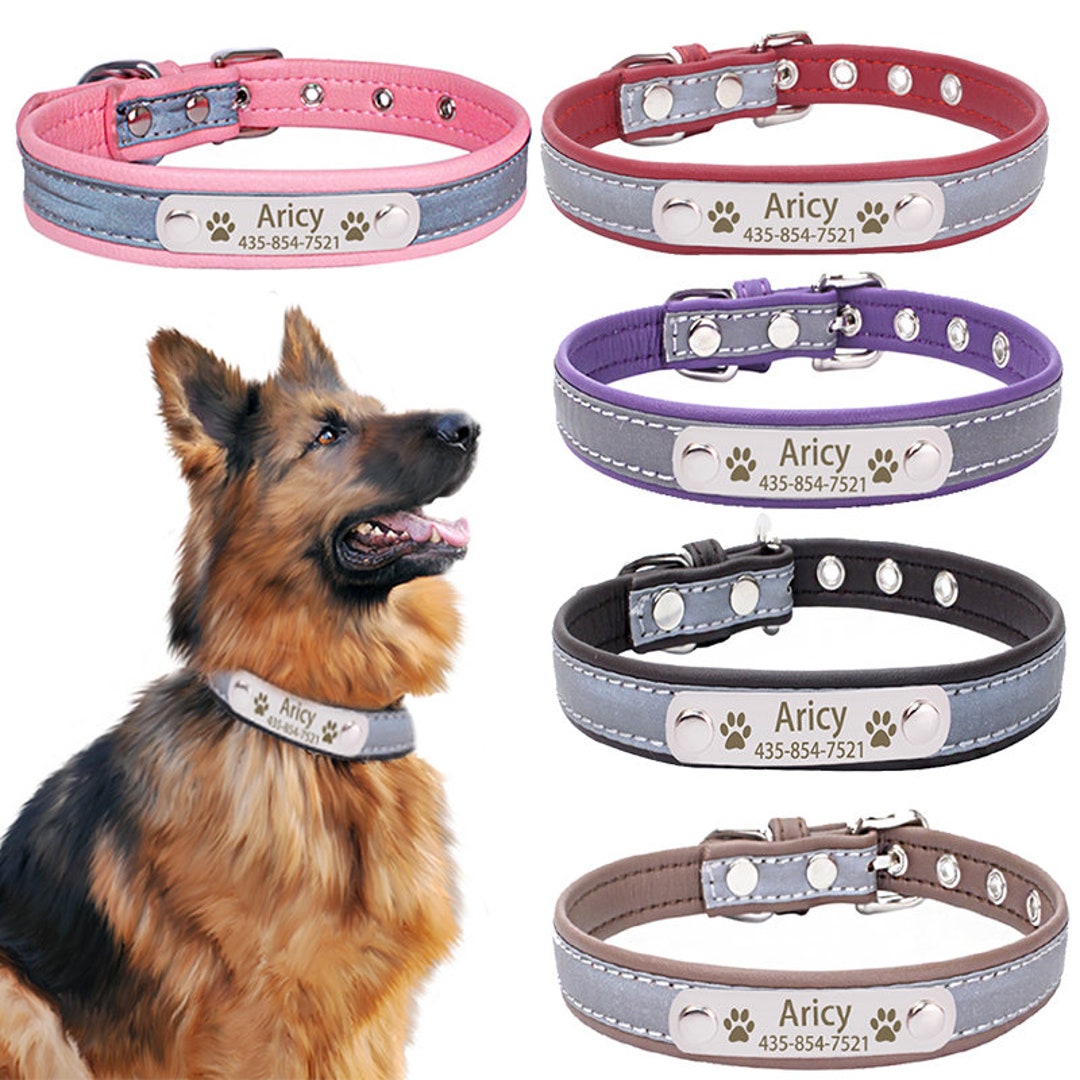 Personalized Dog Collar, Reflective Dog Collar With Engraved Nameplate ...