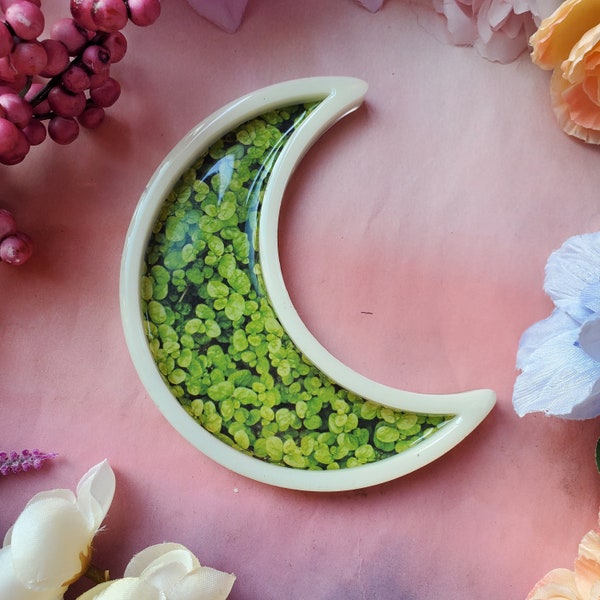 Moon Tray - Etsy