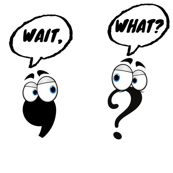 Wait What Stop It Svg - Etsy