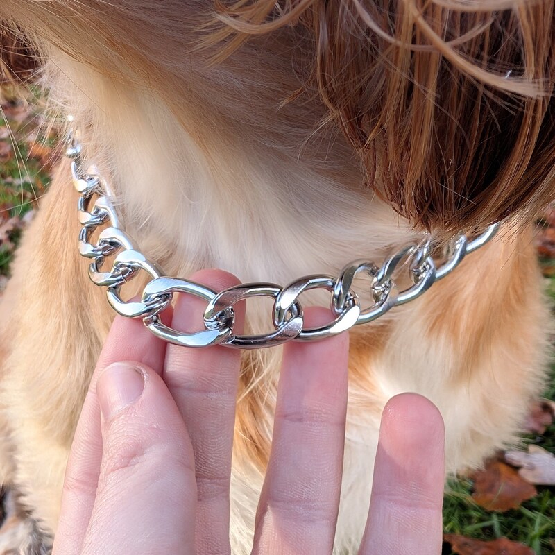 Dog Collar - Etsy