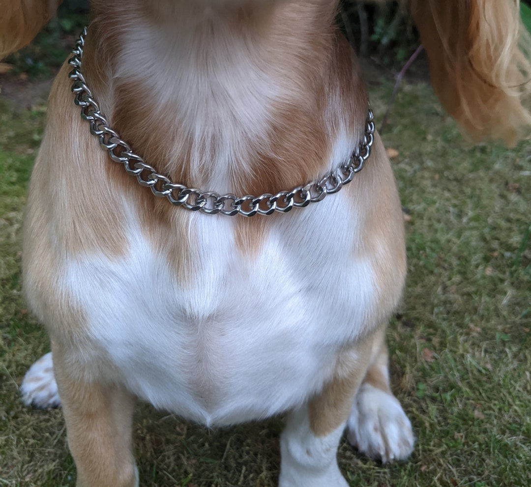Silver Dog Chain 7.5mm Curb Chain Dog Collar Streetwear - Etsy