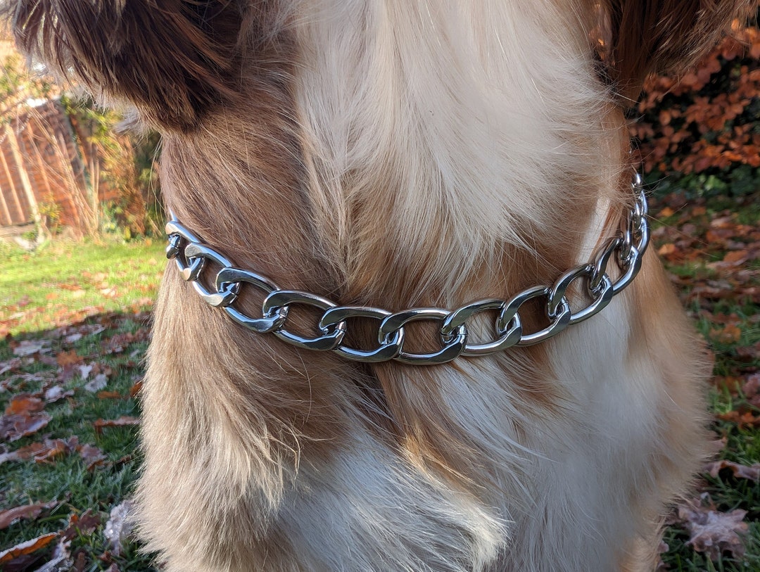 Silver Dog Chain 15mm Curb Chain Dog Collar Pet Chain Accessory Dog and ...