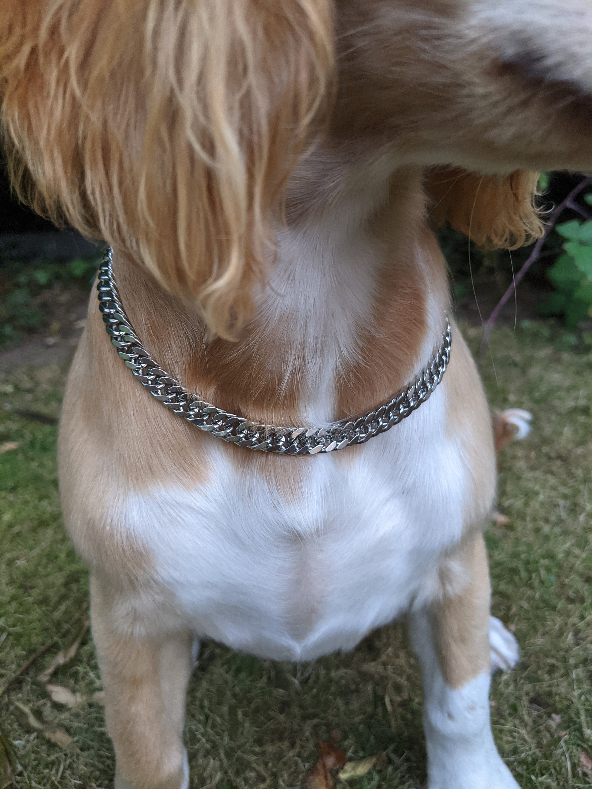 Silver Dog Chain 8.5mm Cuban Link Chain Dog Collar | Etsy