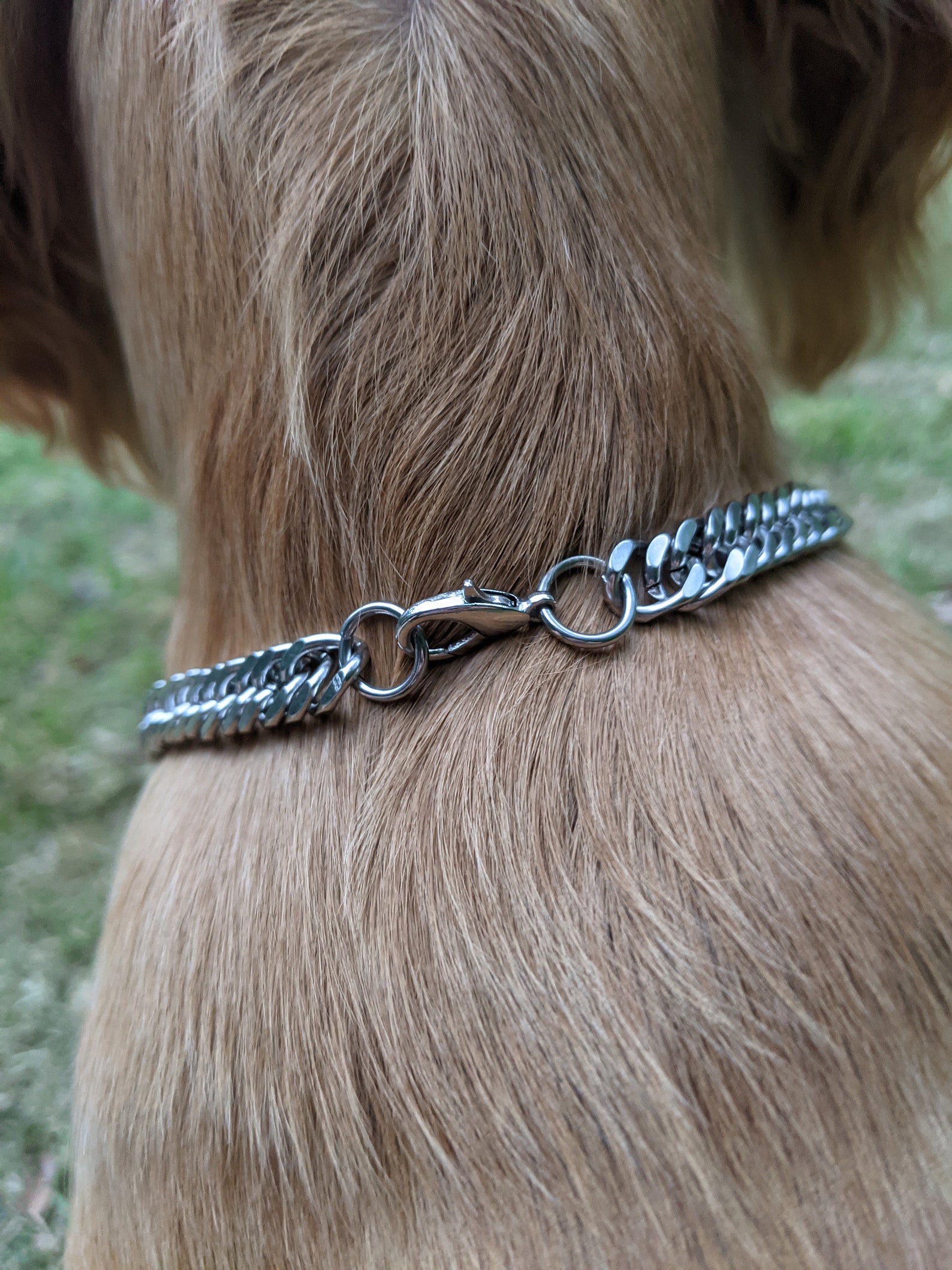 Silver Dog Chain 8.5mm Cuban Link Chain Dog Collar | Etsy