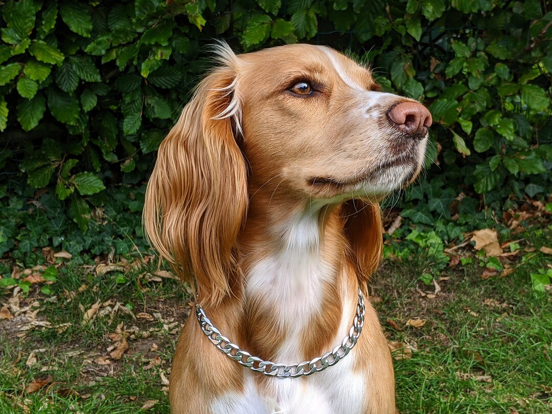 12mm Dog Chain Sturdy Steel Curb Chain Dog Collar Dog Accessories Pets ...