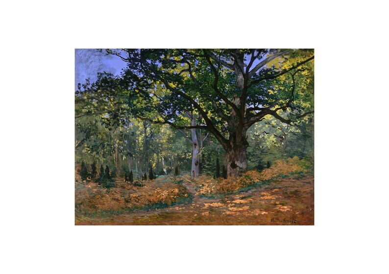 Claude Monet : "the Bodmer Oak, Fontainebleau Forest", 1865 - Museum ...