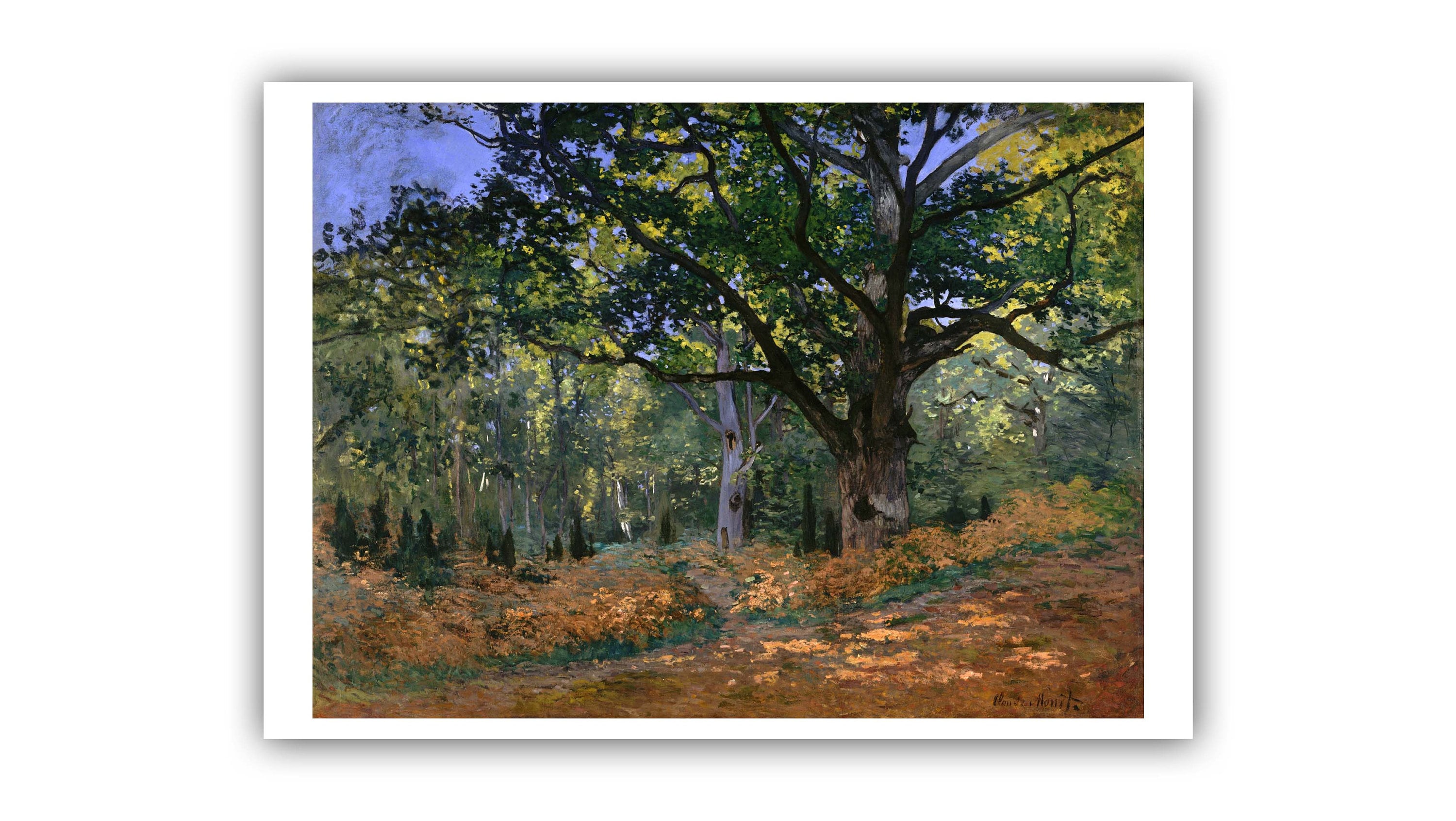 Claude Monet : "the Bodmer Oak, Fontainebleau Forest", 1865 - Museum ...