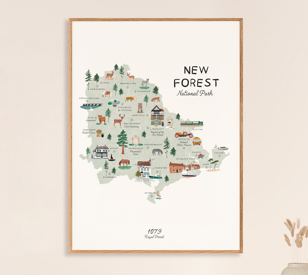 New Forest Map Print, Travel Map, Illustrated National Park Map, New ...