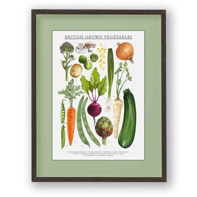 Vegetable Prints - Etsy UK