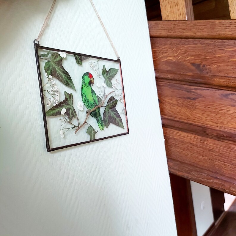 Pet Lover Parrot Pressed Flower Frame Suncatcher. Stained - Etsy