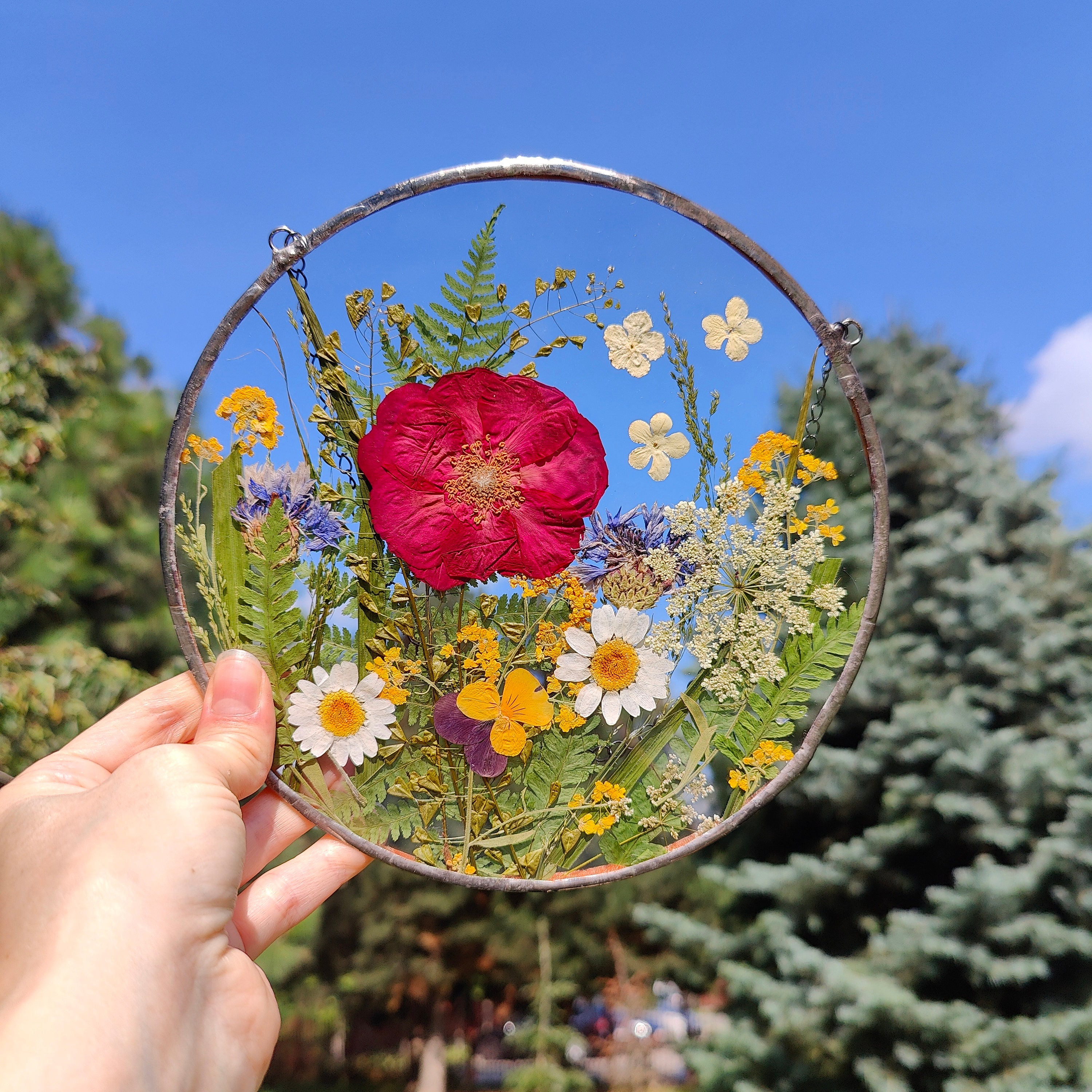 Pressed Flower Art Dried Flower Art. Herbarium Frame. Pressed Flower ...