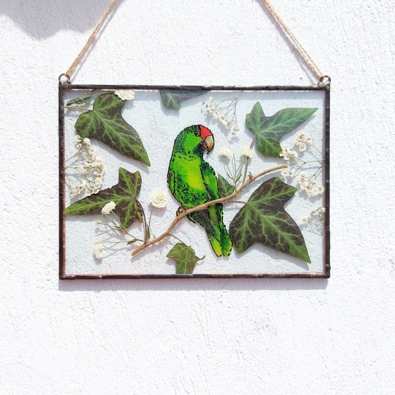 Pet Lover Parrot Pressed Flower Frame Suncatcher. Stained - Etsy