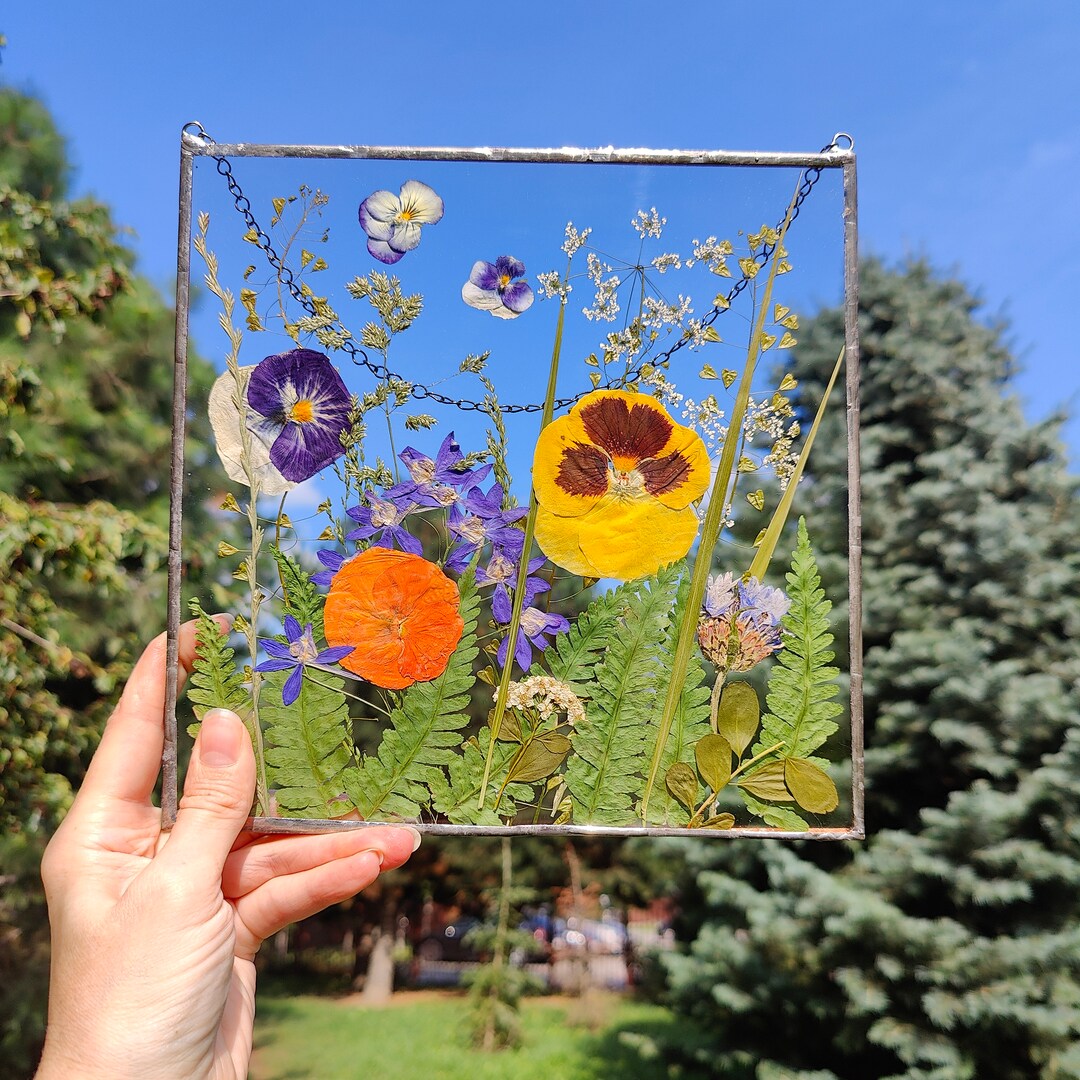 Pressed Flower Frame Herbarium Frame. Dried Flower Art Pressed Flower ...