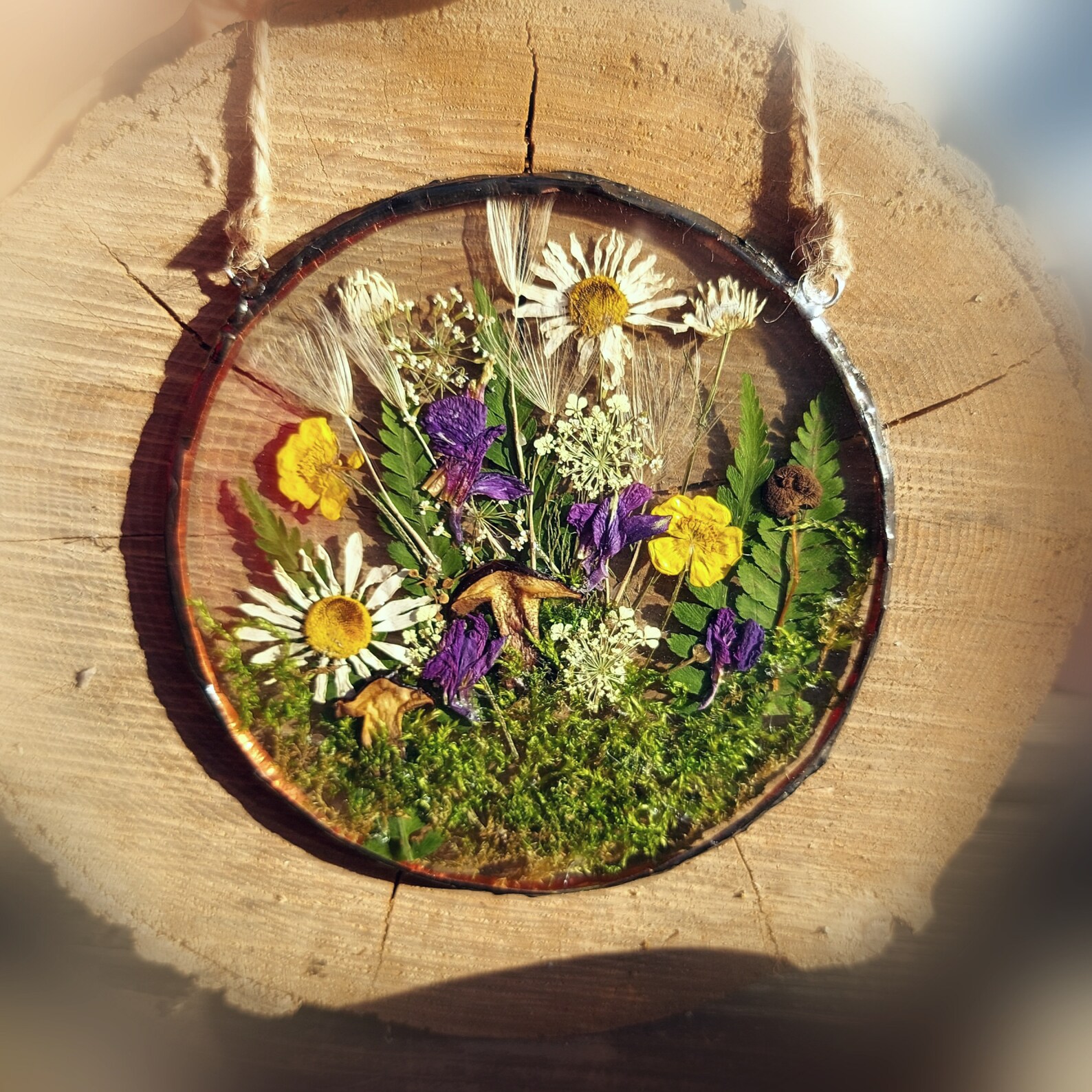Mushroom framed art with pressed fern poppy daisy moss. | Etsy