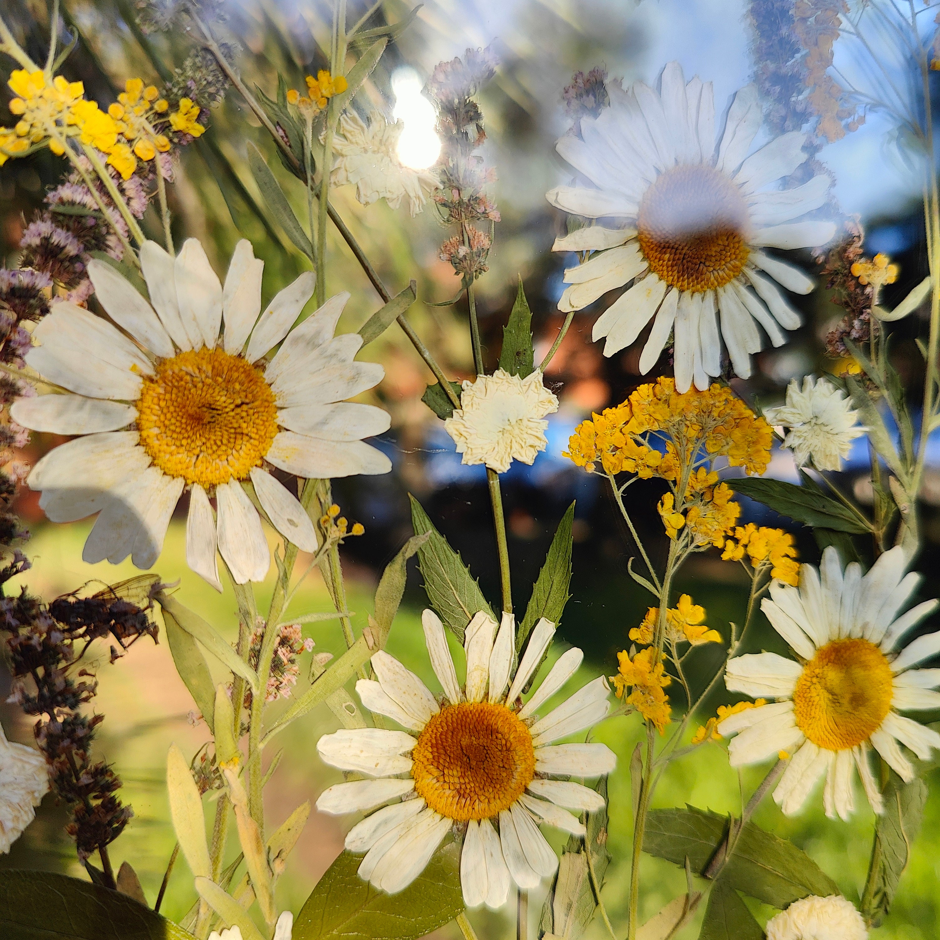 Coquette Decor Pressed Flower Frame. Cottagecore Decor. Flower - Etsy