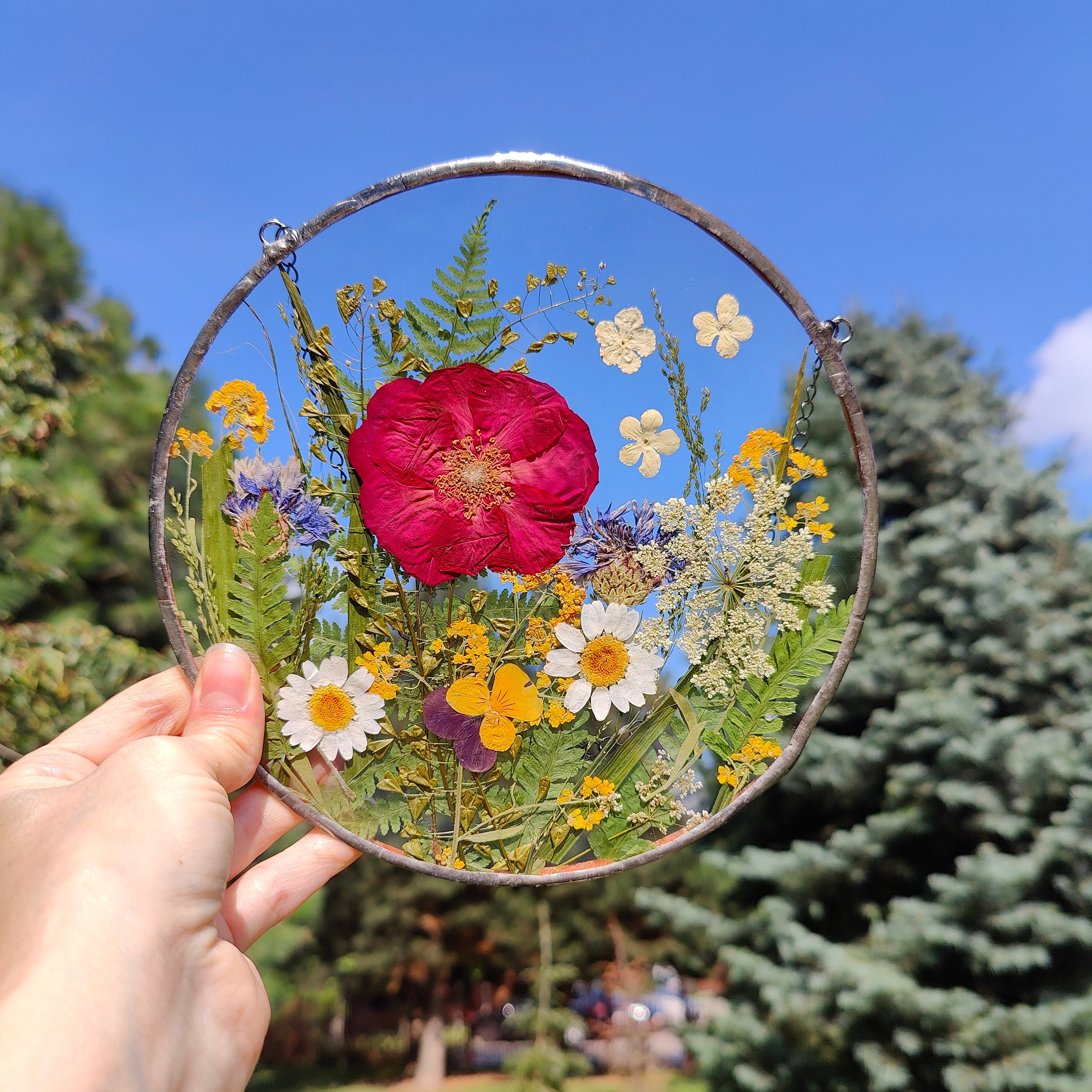 Pressed Flower Art Dried Flower Art. Herbarium Frame. Pressed Flower ...