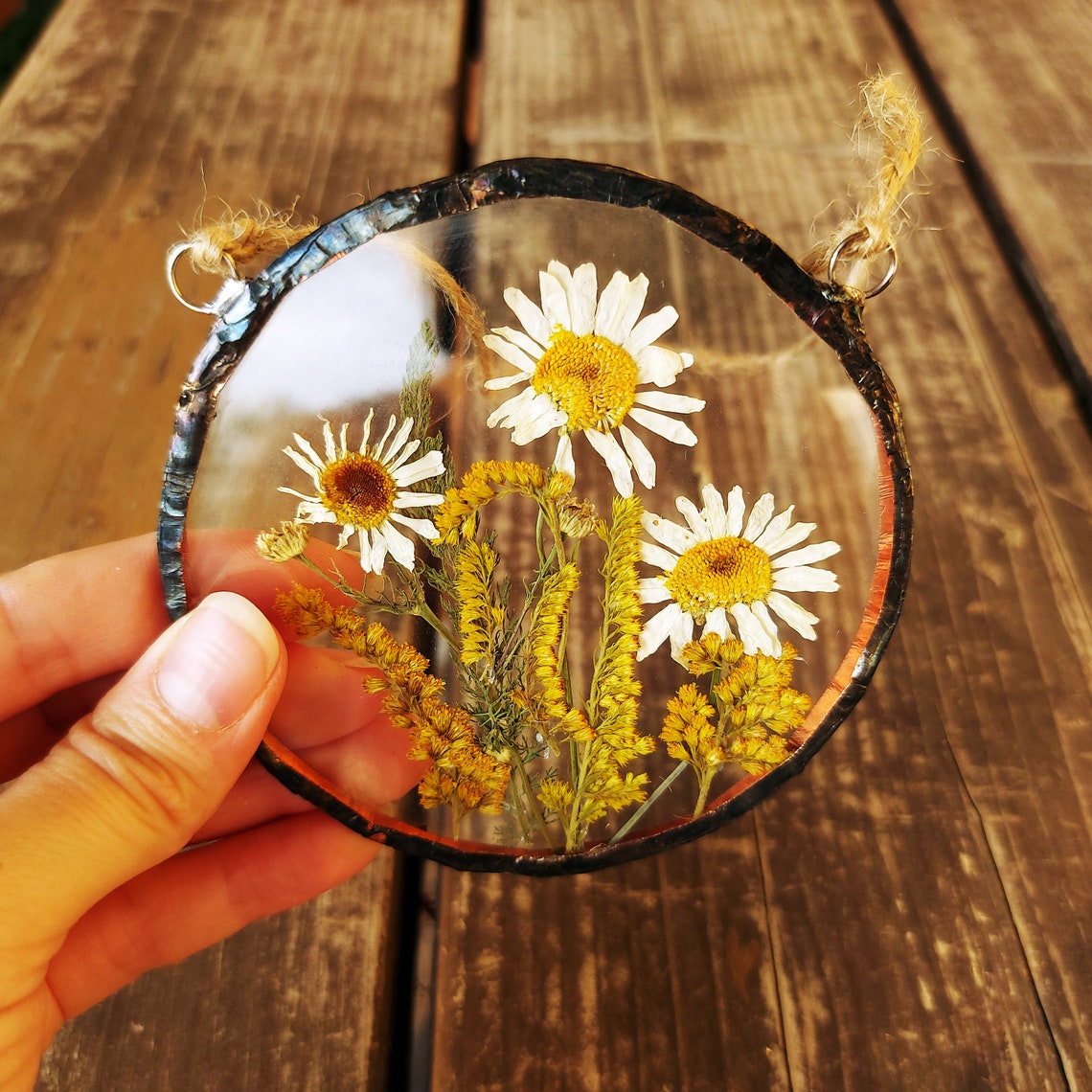 Daisy Pressed Flower Frame Cottagecore Room Decor Herbalist | Etsy