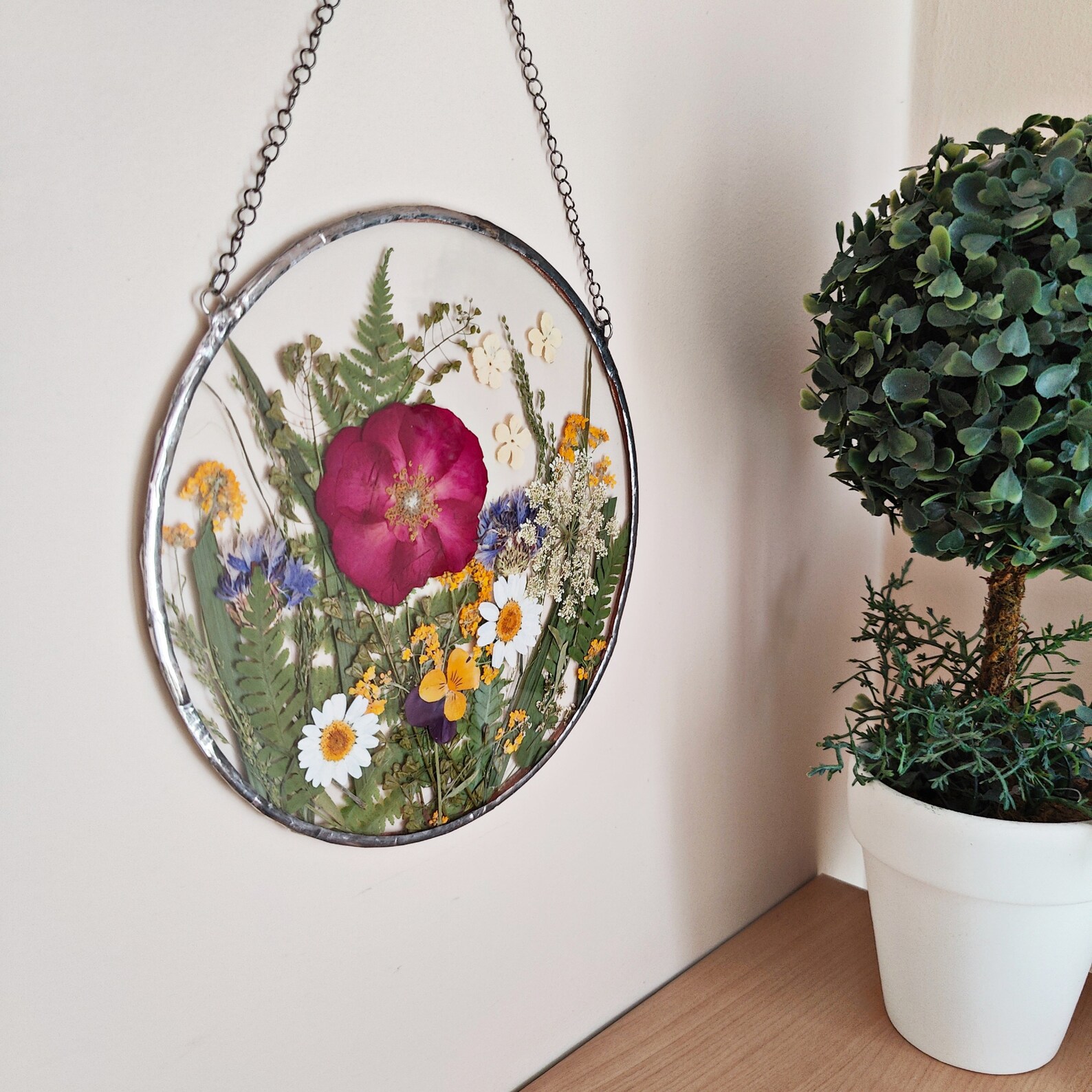 Pressed Flower Art Dried Flower Art. Herbarium Frame. Pressed Flower ...