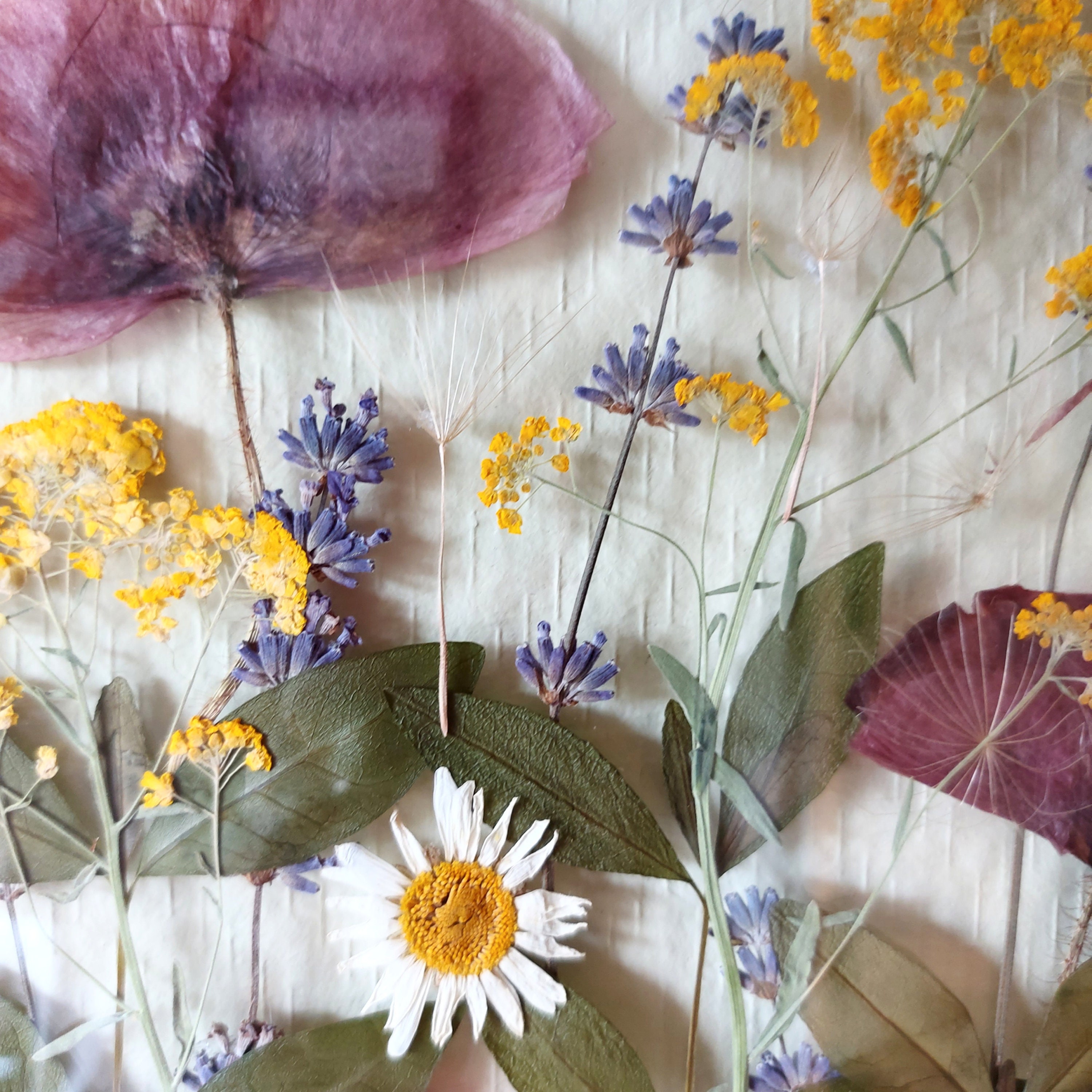Pressed Flower Frame Large Cottagecore Decor Wall Hanging, Stained ...