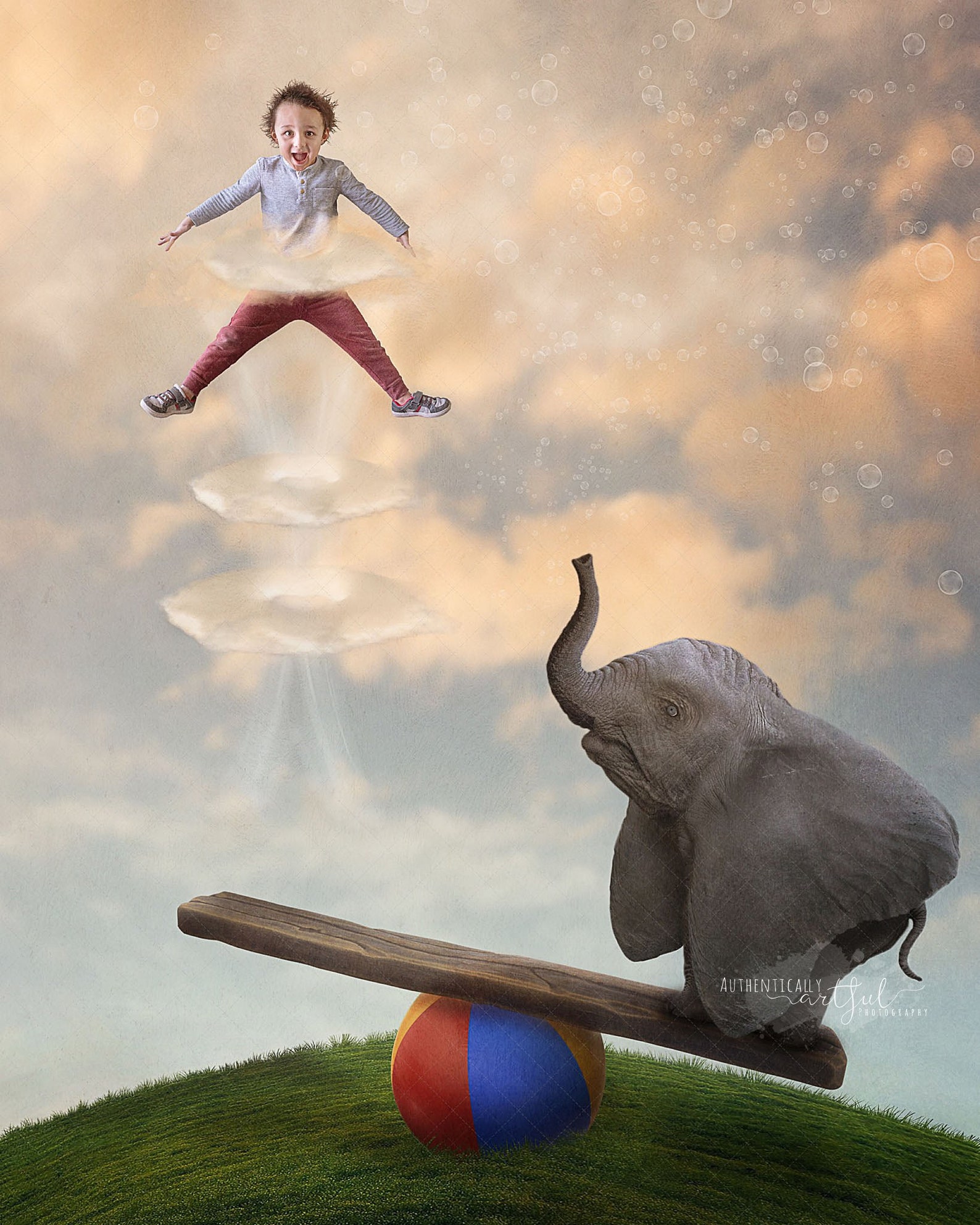 Elephant on a Seesaw Digital Background - Layered PSD - Etsy