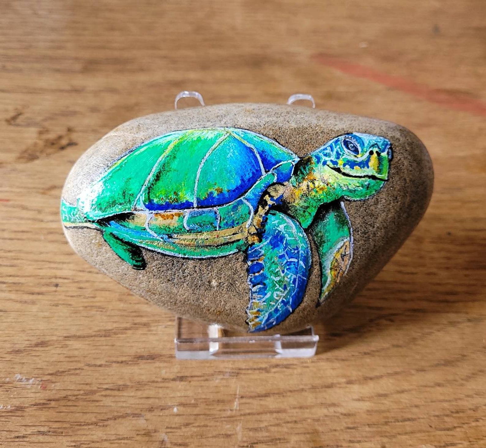 Rock Art Colourful Turtle Made to Order Prices Vary. - Etsy