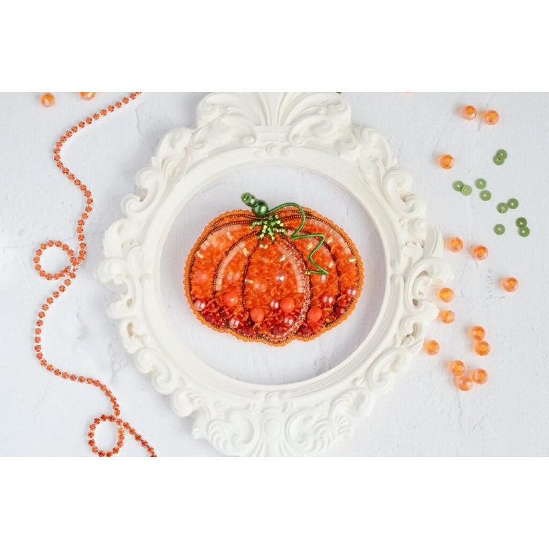 DIY Beaded Brooch Kitdiy Embroidery Kit Embroidery Kit - Etsy